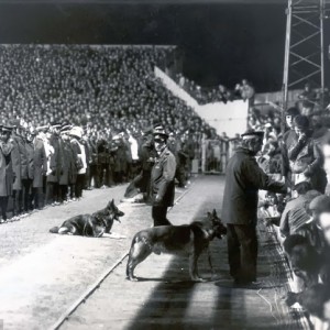 Kenilworth Road Riot – Luton v Millwall 1985 | The Firms
