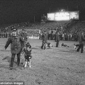 Kenilworth Road Riot – Luton v Millwall 1985 | The Firms